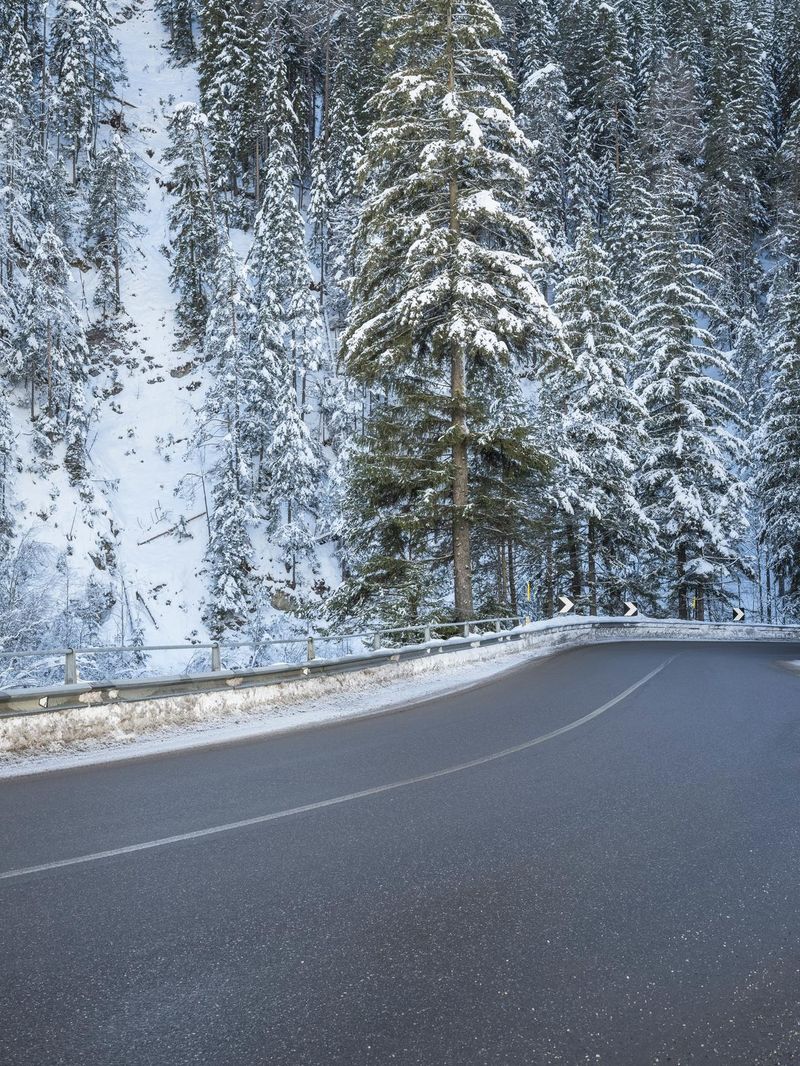 Winter Landscape in Germany: Snow-Covered Mountains HDRi Maps and ...