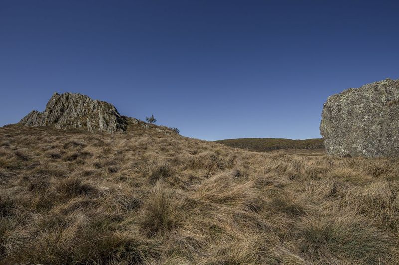 Grass Surface in a Rural Terrain: A Natural Environment HDRi Maps and ...