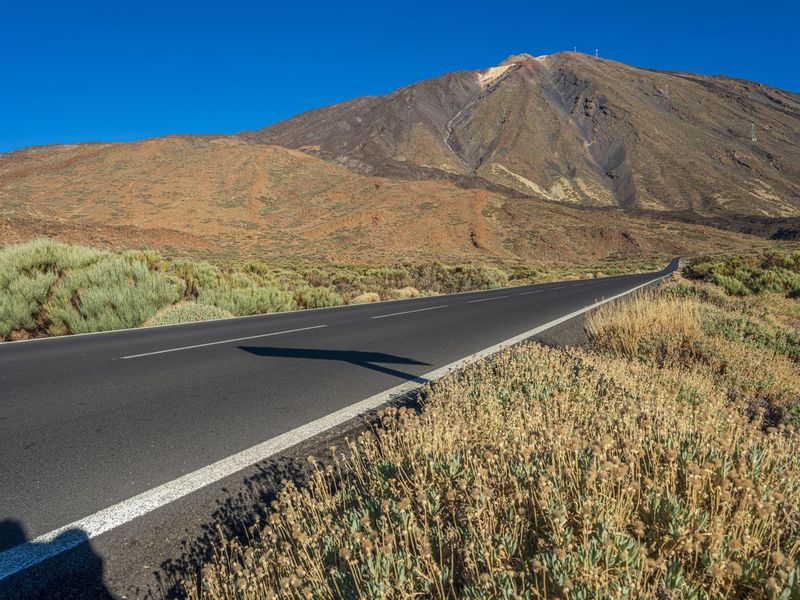 Grass and Vegetation on Highland Slope in Tenerife, Spain HDRi Maps and ...
