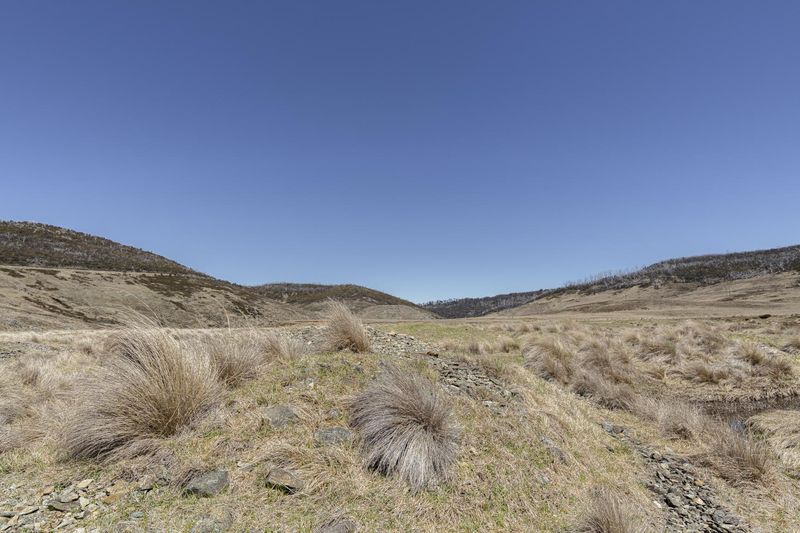 Grassy Plains and Mountain Landscape with a River HDRi Maps and Backplates