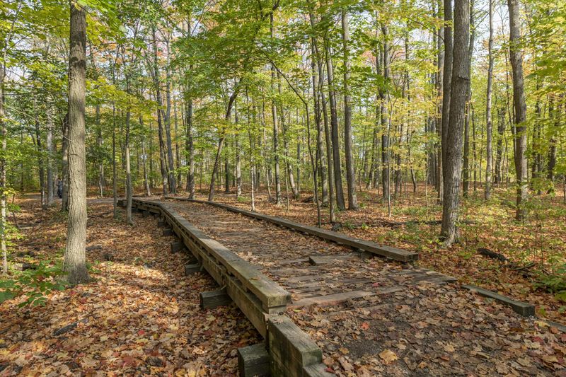 Gravel Path through Lush Deciduous Forest in Ontario, Canada HDRi Maps ...