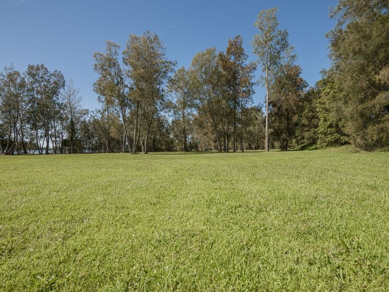 Green Grass Field in Forest with Trees Landscape HDRi Maps and Backplates