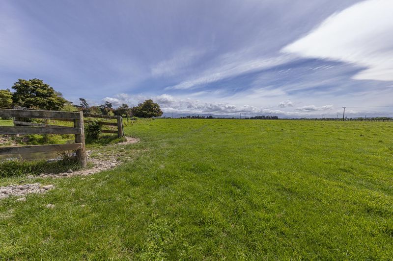 Green Grass Field in Rural Landscape HDRi Maps and Backplates