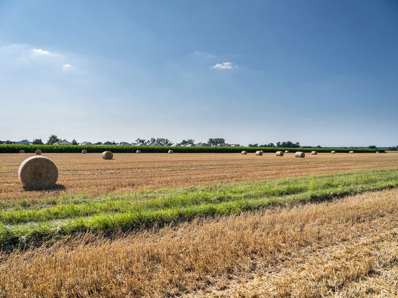 Green Landscape in Germany HDRi Maps and Backplates