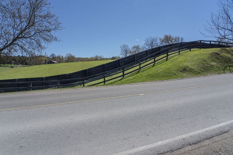 Green Vegetation on a Toronto Farm