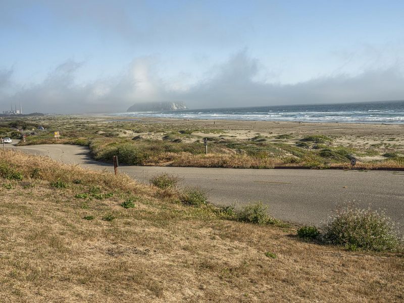 Highway along the California coast with cars passing by near a grassy ...