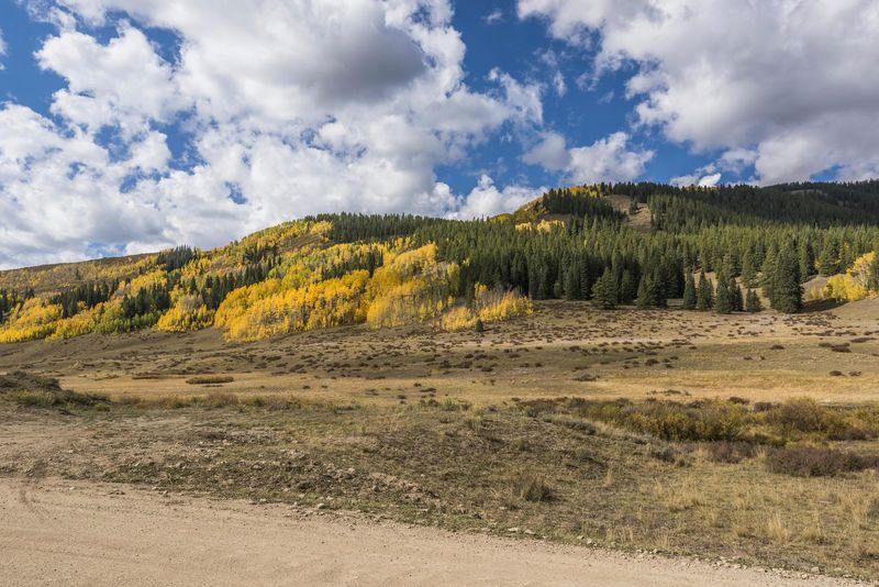 Hillside Landscape: Road Through the Forest with Fall Leaves HDRi Maps ...