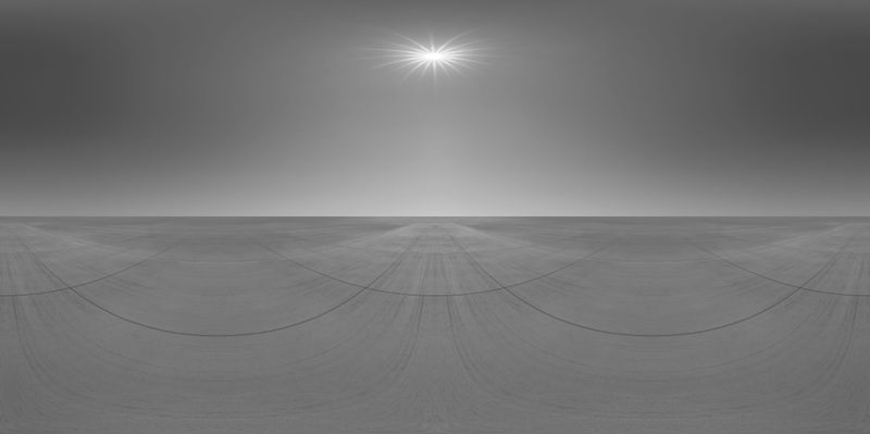 Ice Covered Branch Against a Clear Sky HDRi Maps and Backplates