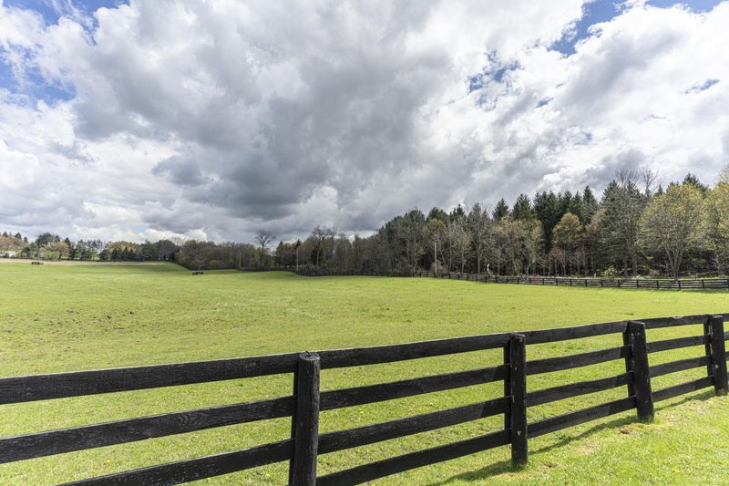 Idyllic Pasture with Fence, Forest, and Evergreen Trees HDRi Maps and ...