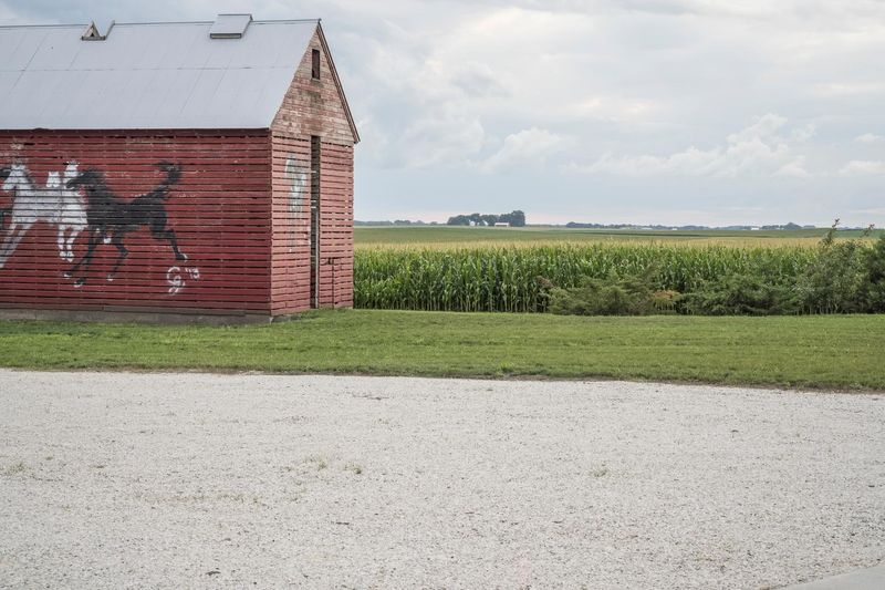 Iowa Agricultural Land - Dirt Road and Fields HDRi Maps and Backplates