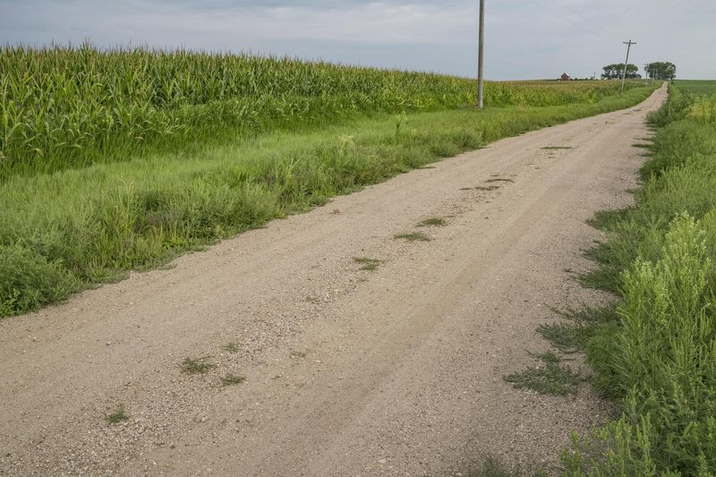 Iowa Dirt Road Through Middle of Corn Field HDRi Maps and Backplates