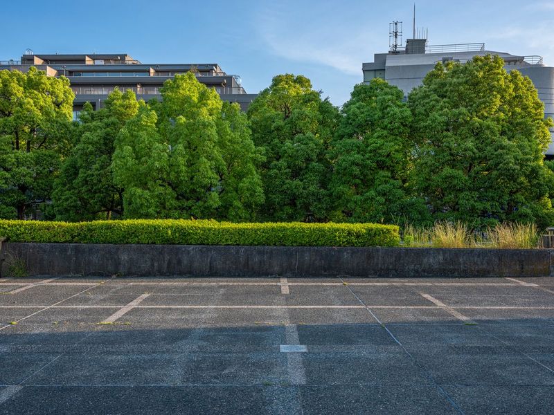 City Life in Japan: Exploring Urban Design in Tokyo HDRi Maps and ...