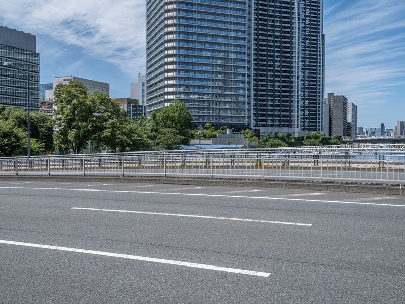 Japan: Daytime Cityscape of Tokyo Featuring Bridges and Skyline HDRi ...