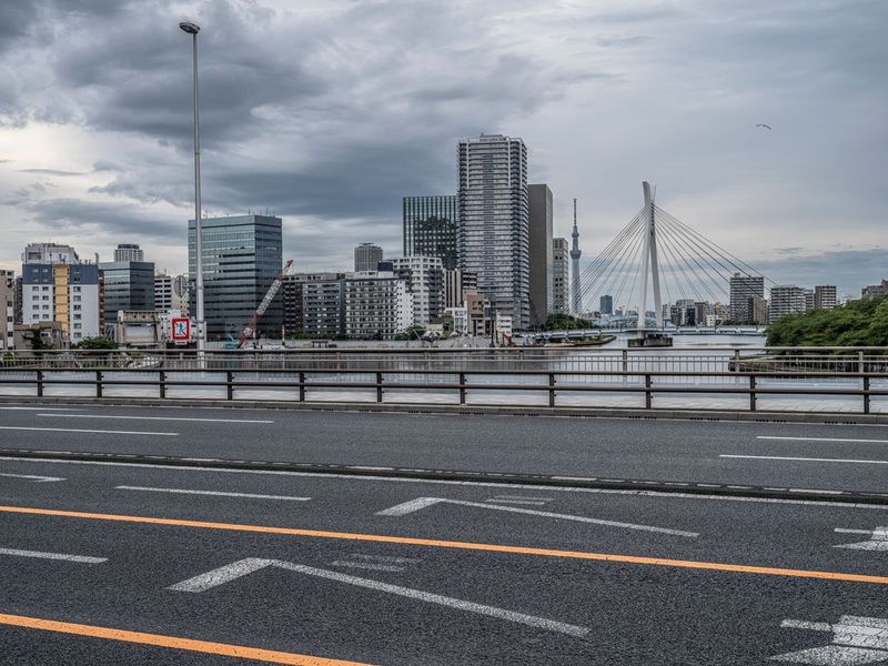 Japan's Tokyo: Bridge Overlooking the Grey Skyline