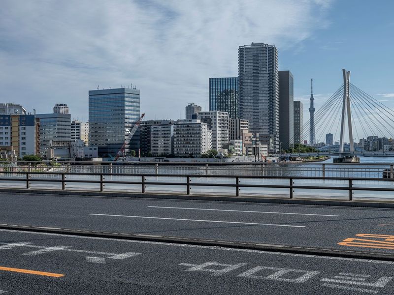 Japan's Tokyo Skyline: Bridges and Modern Architecture HDRi Maps and ...