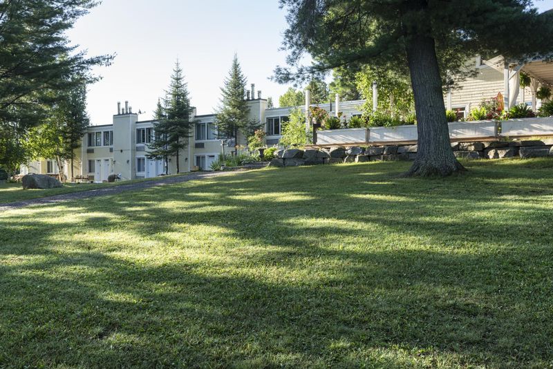 Lake View in Canada: A Nature's Landscape HDRi Maps and Backplates