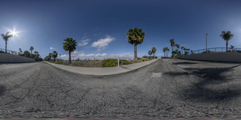 Long Beach, California: Street Canopy of Trees HDRi Maps and Backplates