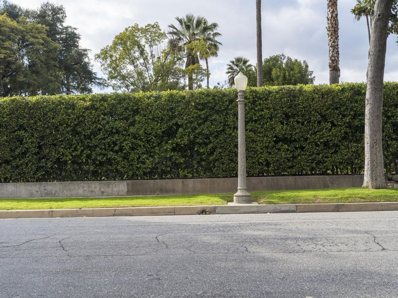 Los Angeles Asphalt Road in a Residential Area HDRi Maps and Backplates