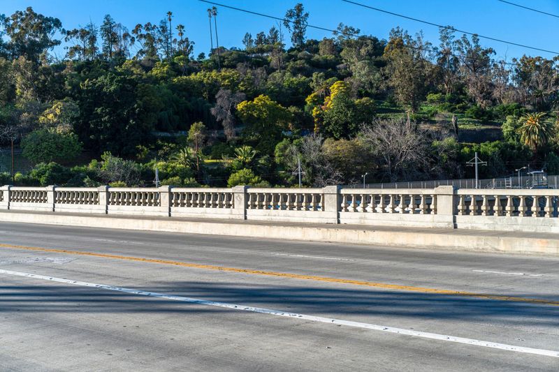 Los Angeles, California: Tree-Lined Residential Road in the USA HDRi ...