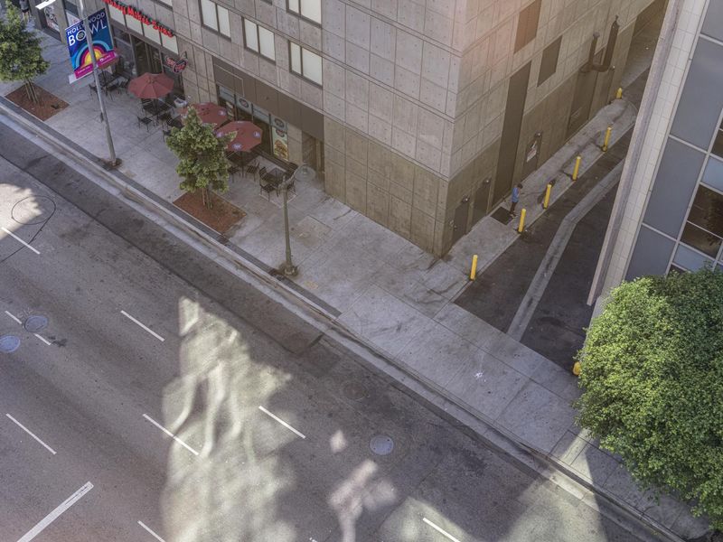 Office Buildings in Los Angeles: Tree-Lined Driveways and Urban Beauty ...