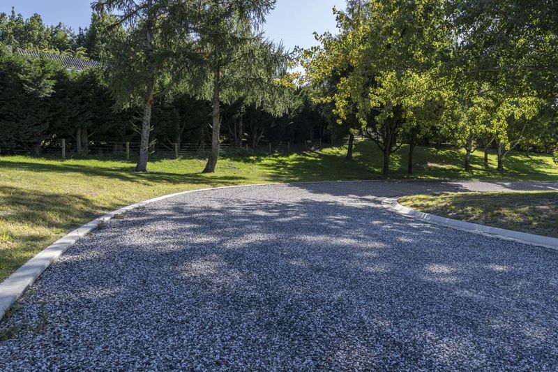 Lush Forest Drive in New Zealand Landscape HDRi Maps and Backplates
