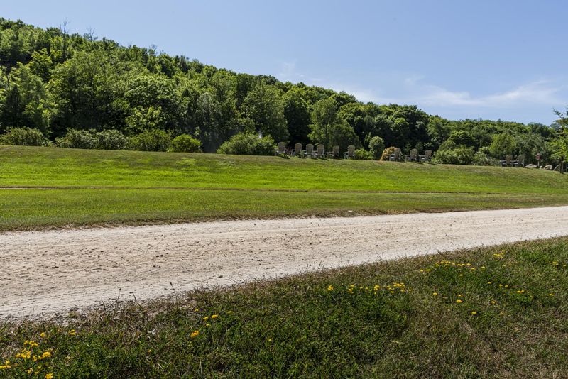 Lush Grass Field under a Clear Sky HDRi Maps and Backplates
