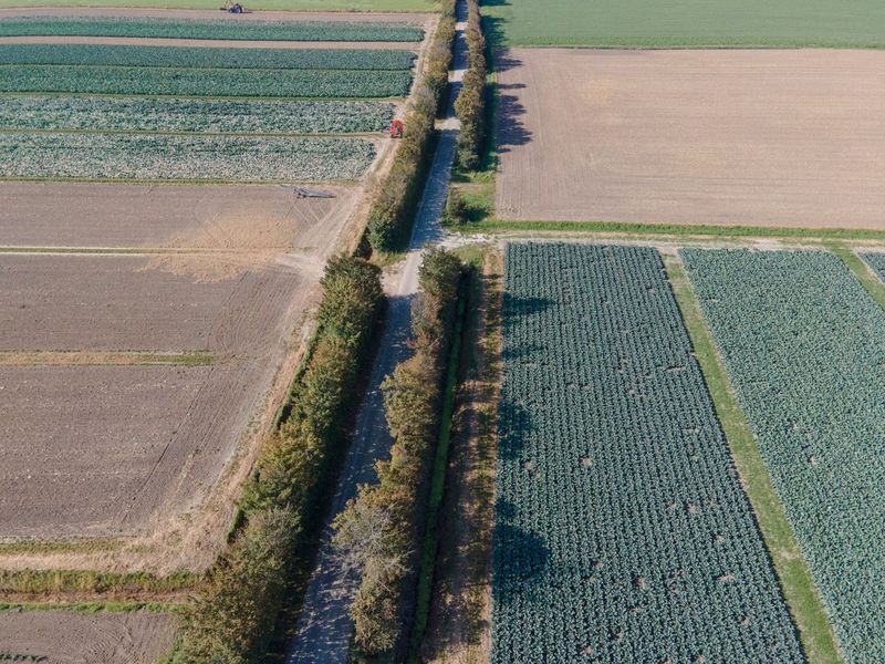Lush Green Farms: A High Aerial View of the Netherlands HDRi Maps and ...