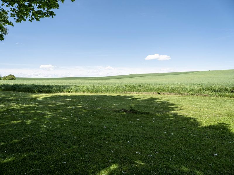 Lush Green Field in Germany HDRi Maps and Backplates