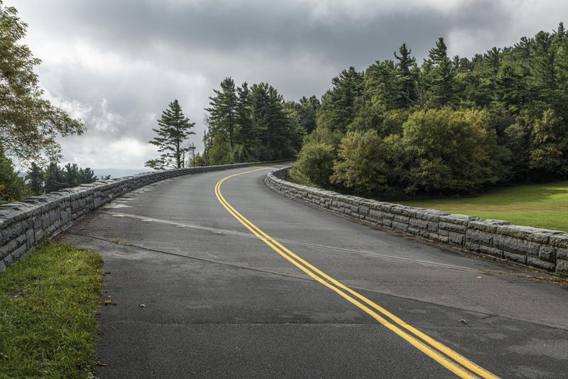 Lush Green Forest: Daytime Nature - HDRi Maps and Backplates