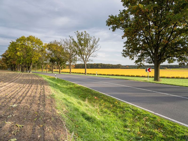 Lush Green Landscape in Berlin, Europe HDRi Maps and Backplates