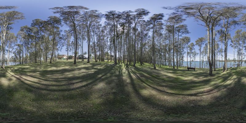 Lush Green Landscape with Tree in Motion HDRi Maps and Backplates