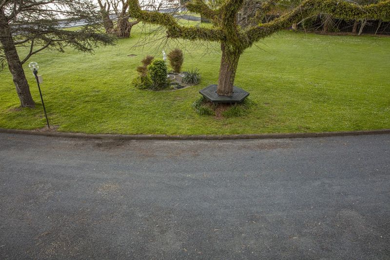 Lush Green Park Landscape: A Top-Down View HDRi Maps and Backplates