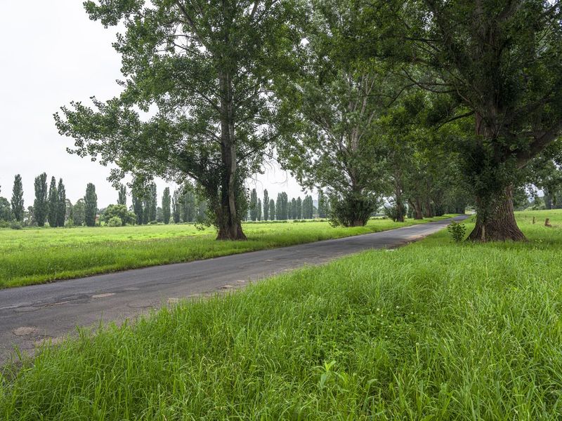 Lush Green Vegetation in Bega Valley, Australia HDRi Maps and Backplates