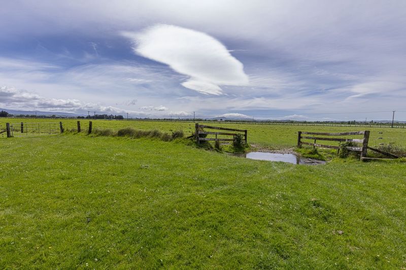 Lush Green Vegetation in a Farm Field HDRi Maps and Backplates