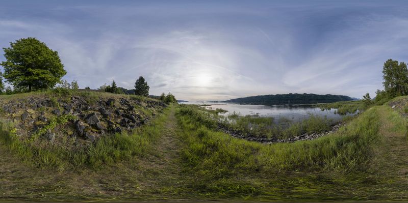 Lush Landscape: A Fisheye Lens View HDRi Maps and Backplates