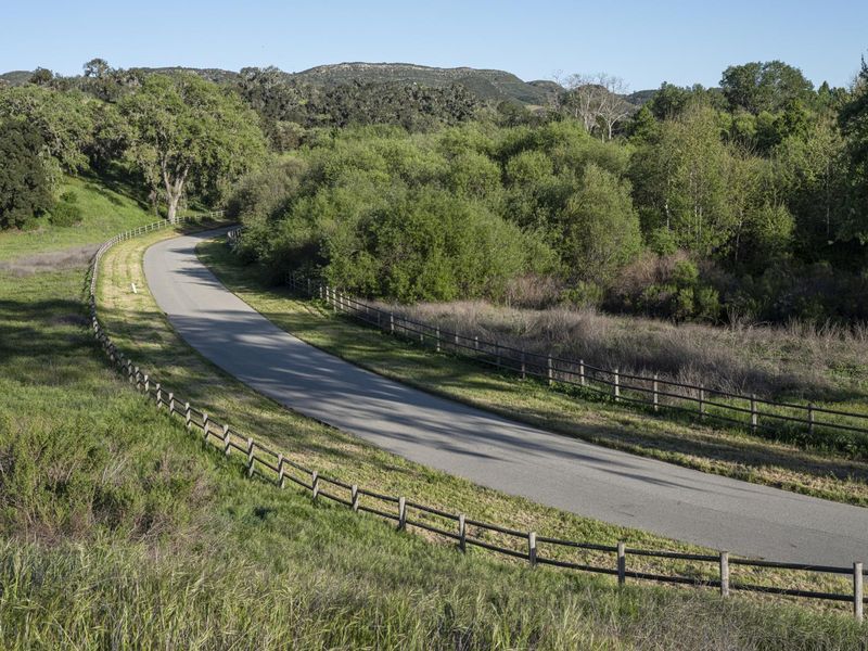 Lush Pasture with Tree and Clear Sky HDRi Maps and Backplates
