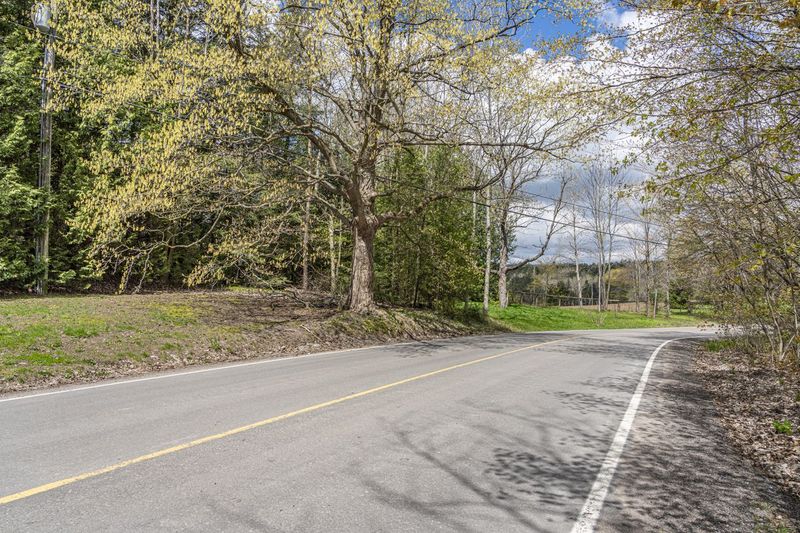Lush Vegetation Along the Road in Toronto, Canada - HDRi Maps and ...