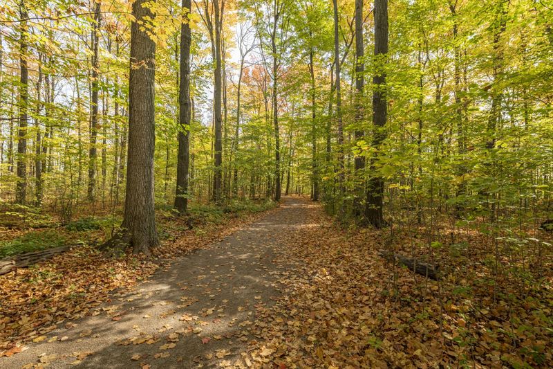Lush Vegetation in Toronto: A Park for Recreation