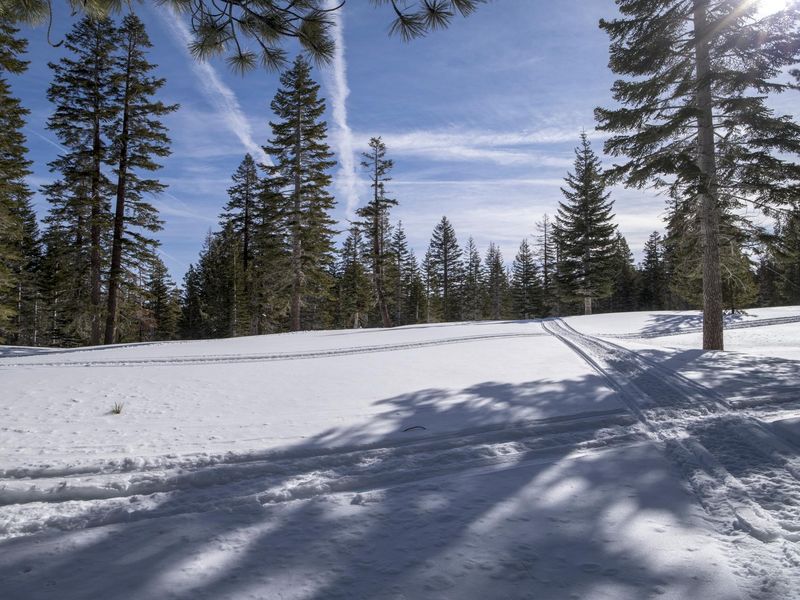 Mammoth Lake, California Winter Road HDRi Maps and Backplates