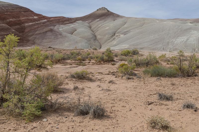 Man on Cell Phone in Utah Mountains HDRi Maps and Backplates