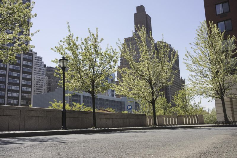 Manhattan Cityscape: New York Architecture at its Finest - HDRi Maps ...