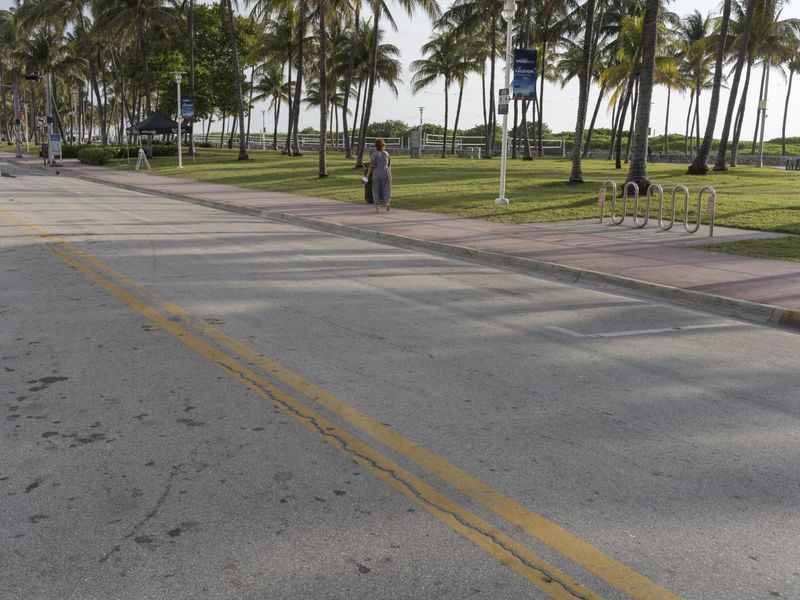Miami Beach: Asphalt Road in a Suburban Dawn - HDRi Maps and Backplates