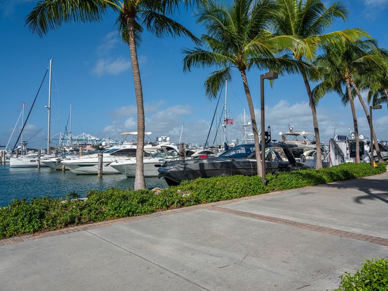 Miami Beach, Florida: Palm Trees and Coastal Road HDRi Maps and Backplates