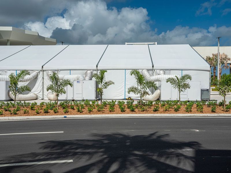 Miami Beach Palm Tree Shadow Road HDRi Maps and Backplates