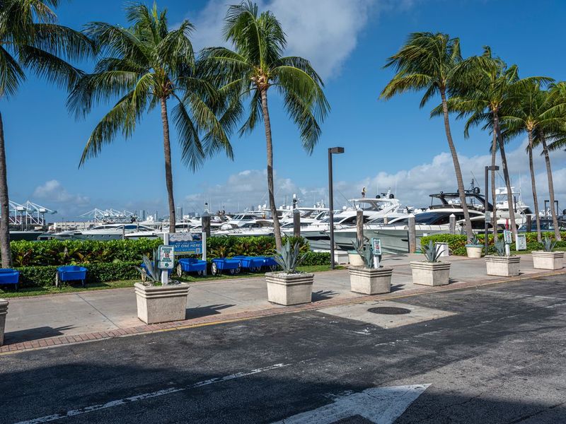 Miami Beach: Palm Trees and Urban Design HDRi Maps and Backplates