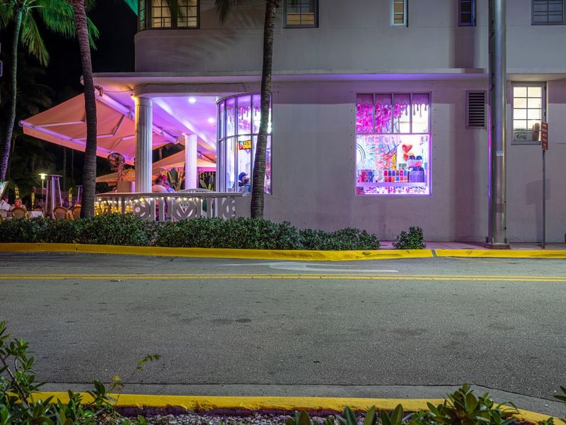 Miami Night: Palm Trees and Neon Lights HDRi Maps and Backplates