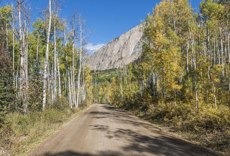 Mountain Biome: A Dirt Road Through a Green Landscape HDRi Maps and ...