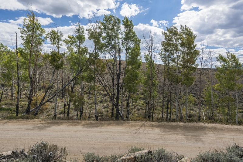 Mountain Forest Road in Rugged Landscape HDRi Maps and Backplates