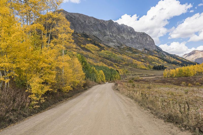 Mountain Road Surrounded by Greenery and Autumn Leaves HDRi Maps and ...