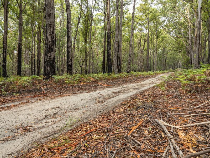 Muddy Road Through Forest in Haycock Point, New South Wales, Australia ...